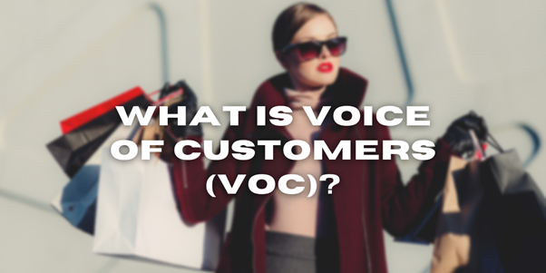 What is Voice of Customers and its methods? - MBizM™